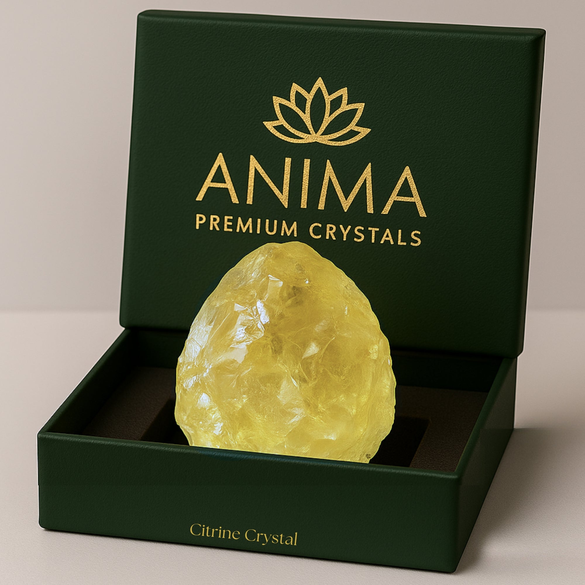 Citrine Crystal – Anima